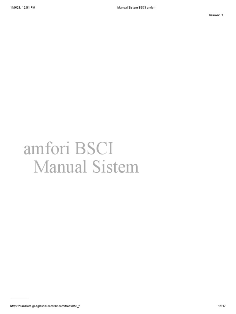 Manual Sistem BSCI Amfori | PDF