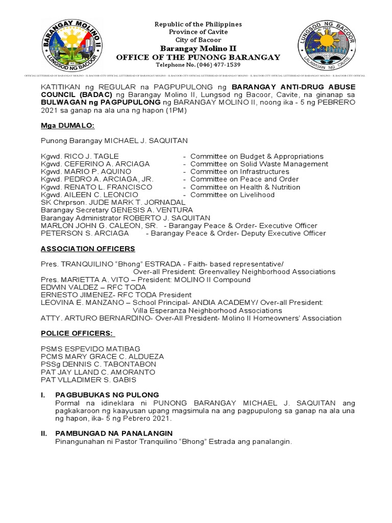 BADAC Meeting Minutes - February 2021 | PDF | Philippines | Social ...