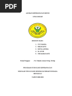 LP Combustio Grade II | PDF | Kesehatan Holistik | Teknologi & Rekayasa