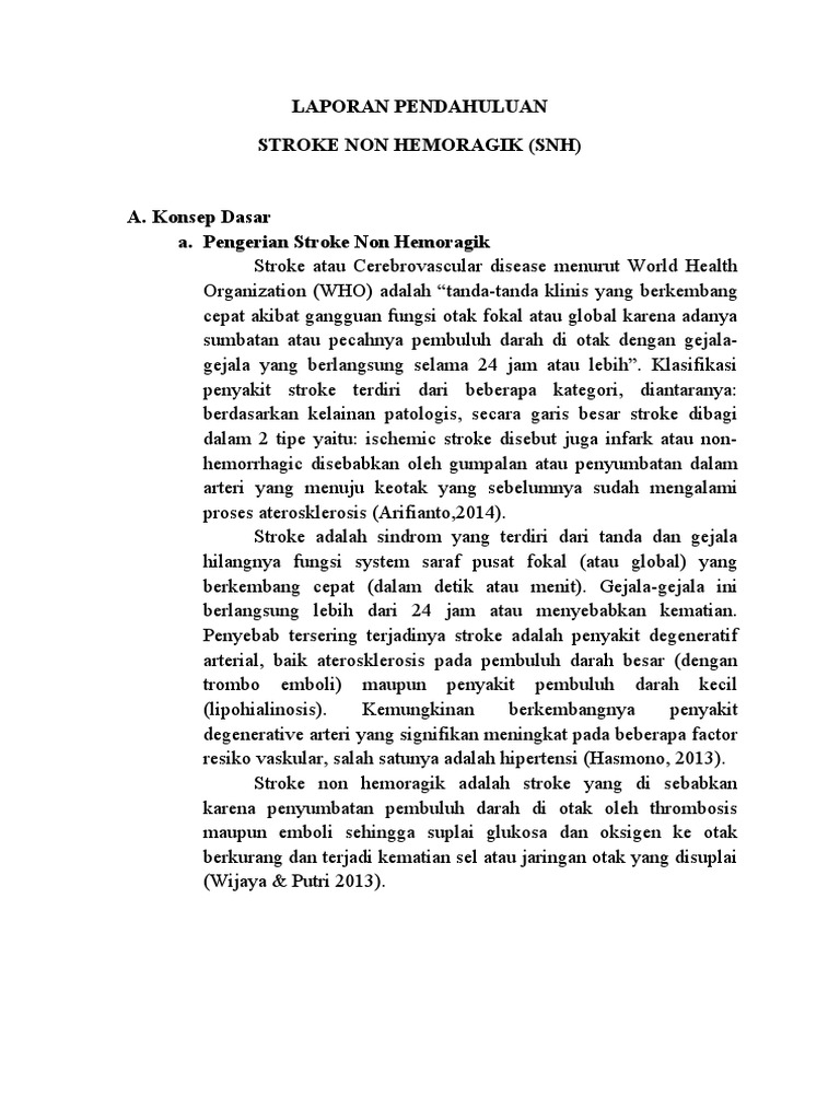 Laporan Pendahuluan SNH | PDF