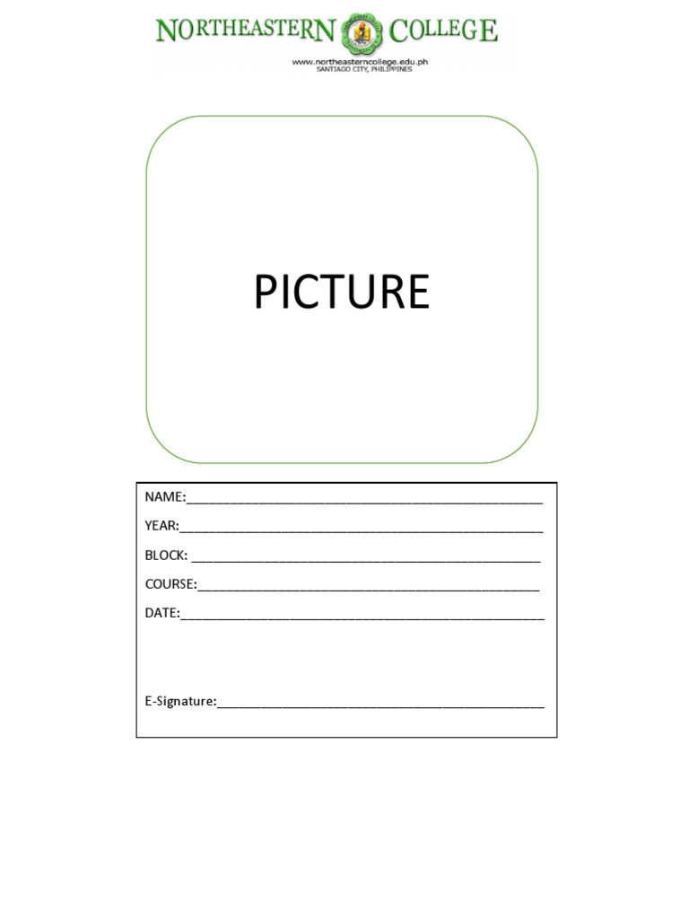 Activity Sts | PDF | Science | Scientific Method