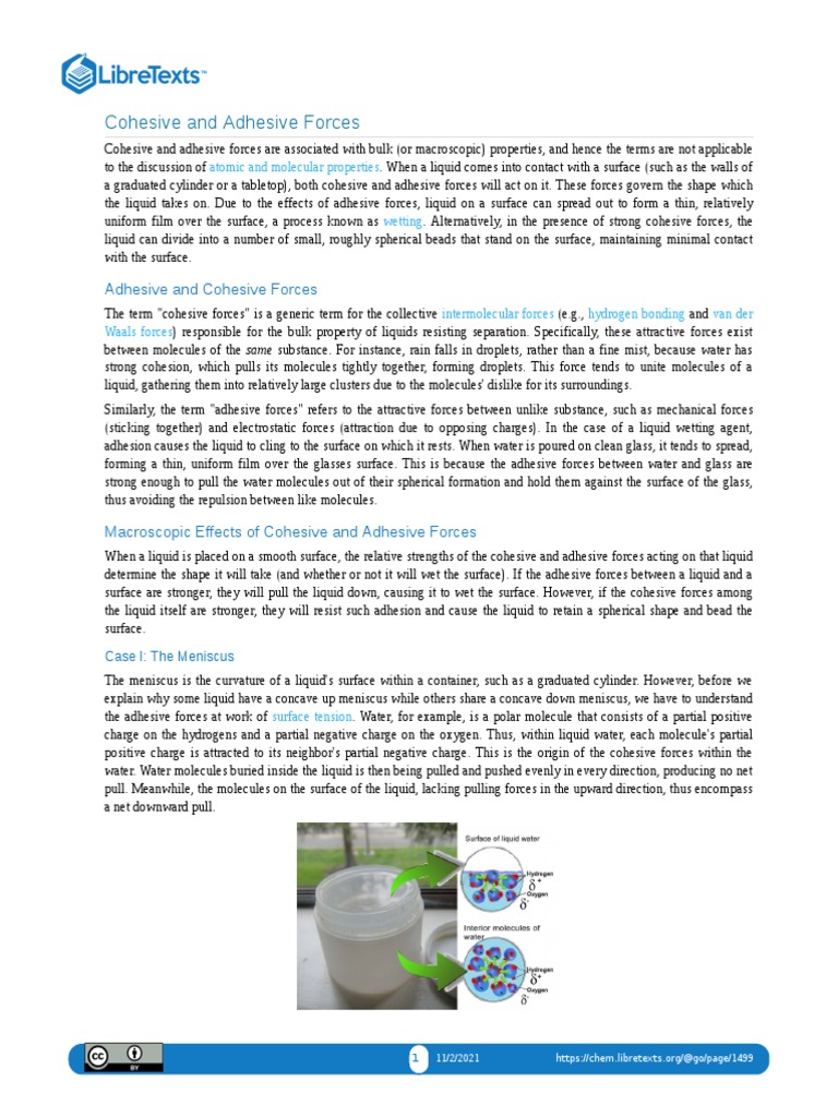 Cohesive and Adhesive Forces | PDF | Adhesion | Liquids