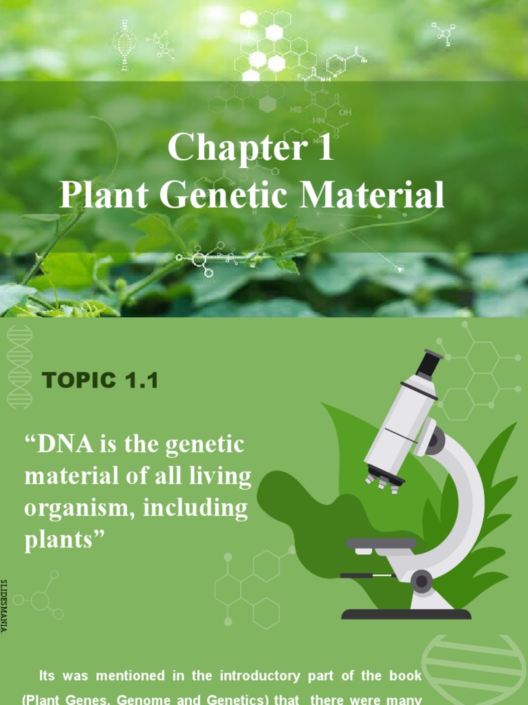 Plant Genetics | PDF | Gel Electrophoresis | Dna