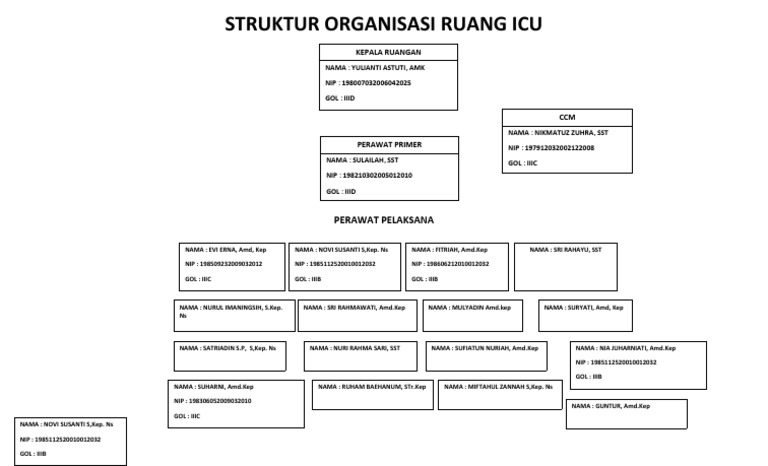 Struktur Organisasi Ruang Icu | PDF