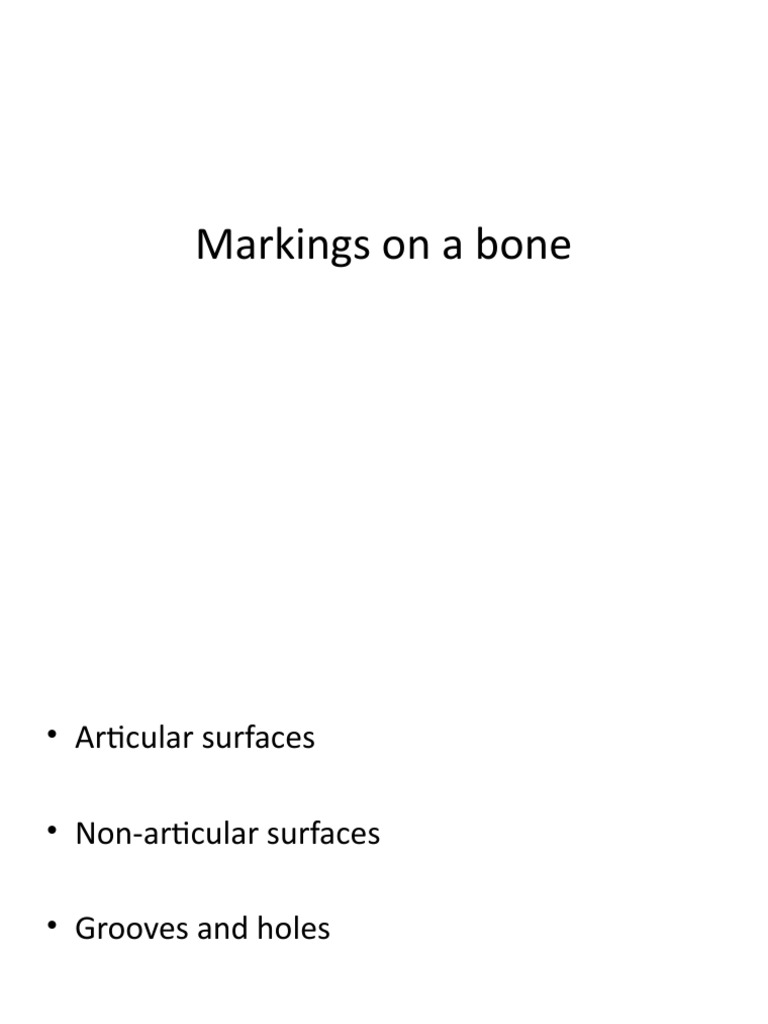 Markings On A Bone | PDF