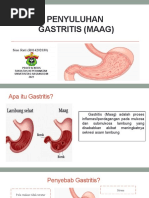 Soft File Leaflet Gastritis PDF | PDF