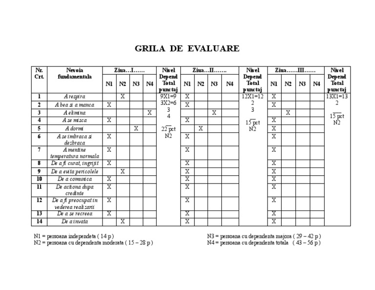 3 Grila de Evaluare | PDF