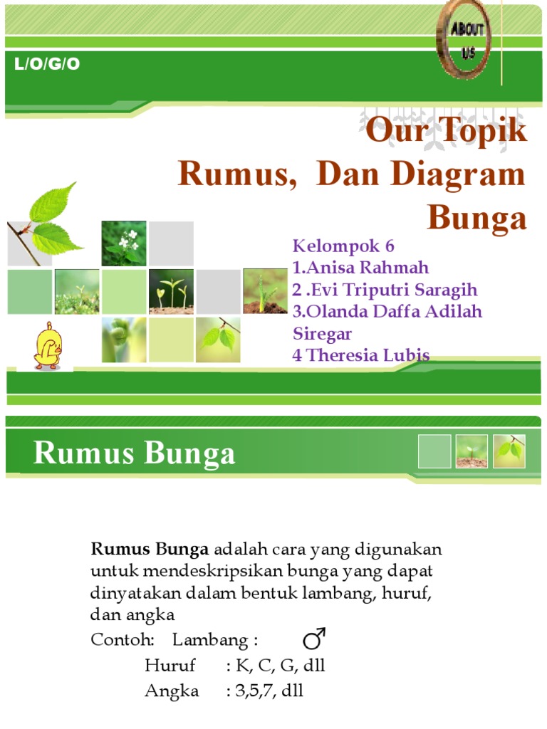Kelompok 6 Rumus Bunga | PDF