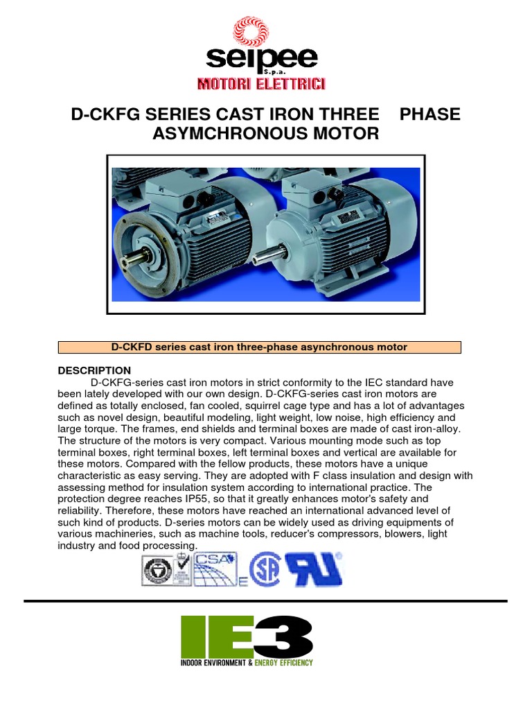 Seipee 4p 3 6 | PDF | Electric Motor | Manufactured Goods