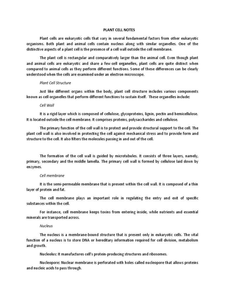 Notes Plant Cell 21 | PDF | Cell (Biology) | Cell Wall