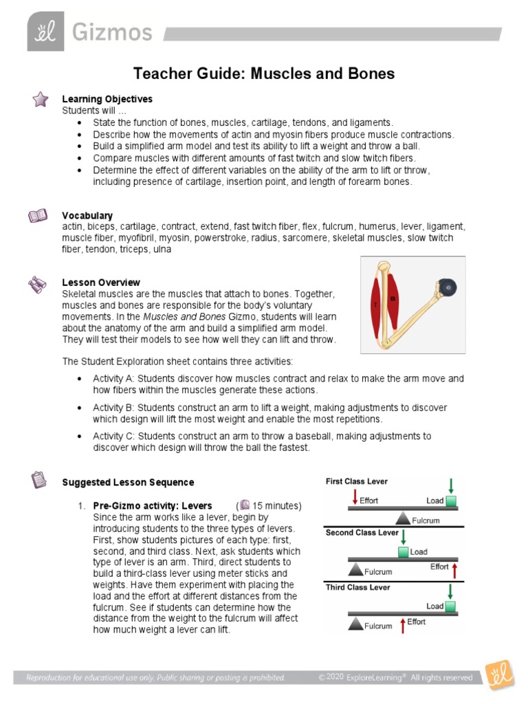 Teacher Guide: Muscles and Bones: Learning Objectives | PDF | Skeletal ...