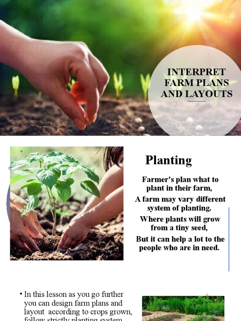 Interpret Farm Plans and Layouts | PDF | Irrigation | Agricultural Science