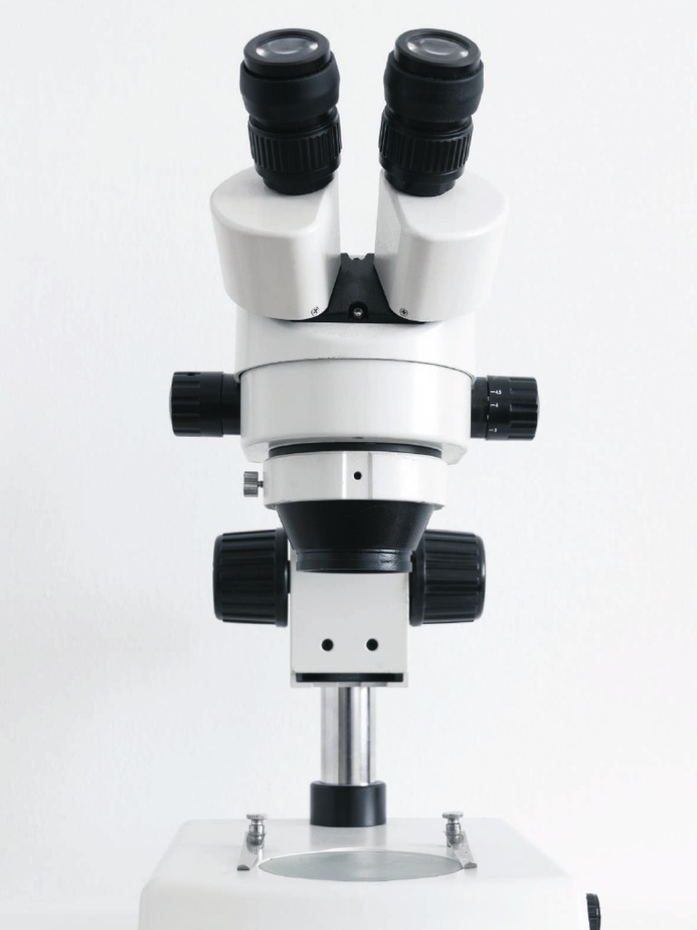 Artigo Embolo Da Seringa | PDF | Infecção | Enfermagem