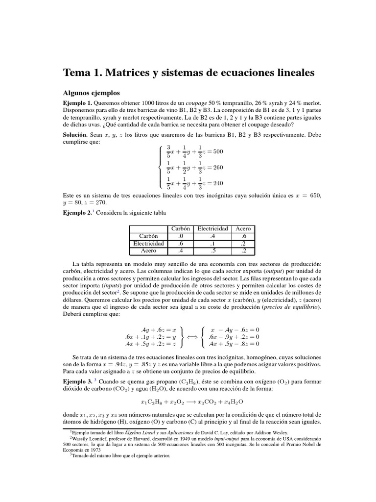 Tema 1 Matrices y Sistemas de Ecuaciones Lineales | PDF | Matriz (Matemáticas) | Determinante
