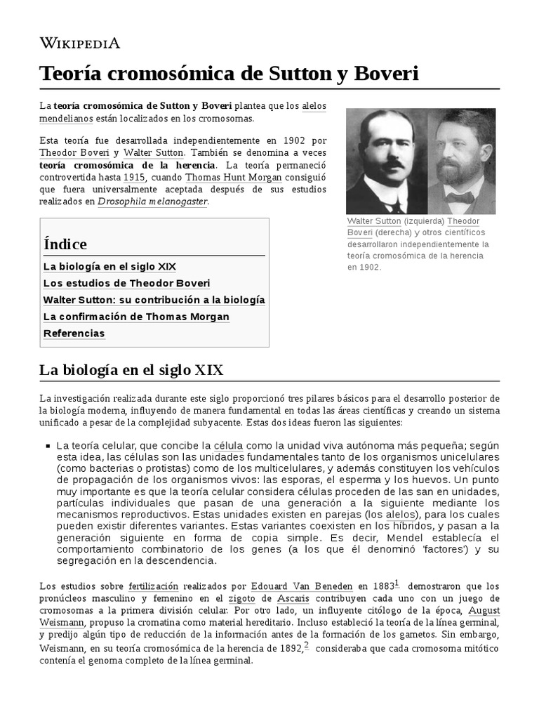 Teoría Cromosómica de Sutton y Boveri | Descargar gratis PDF | Mitosis ...