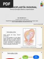 Incisión Rocky Davis | PDF | Medicina CLINICA | Anatomía