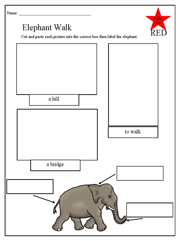 Label the Elephant Activity Sheet | PDF