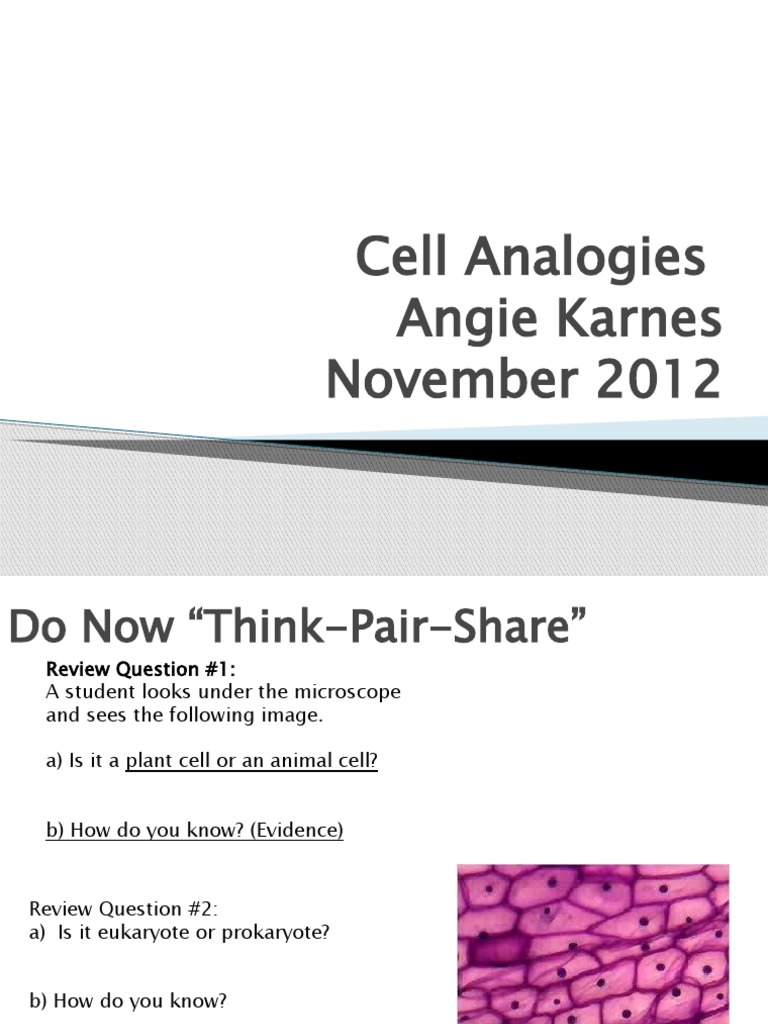 Cell Analogy PowerPoint | PDF | Cell (Biology) | Cytoplasm