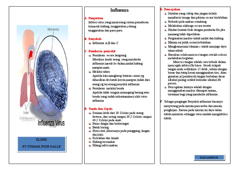 Influenza: E. Pencegahan A. Pengertian | PDF