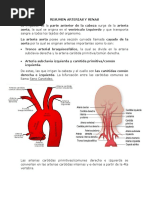 Irrigacion Del Recto | PDF