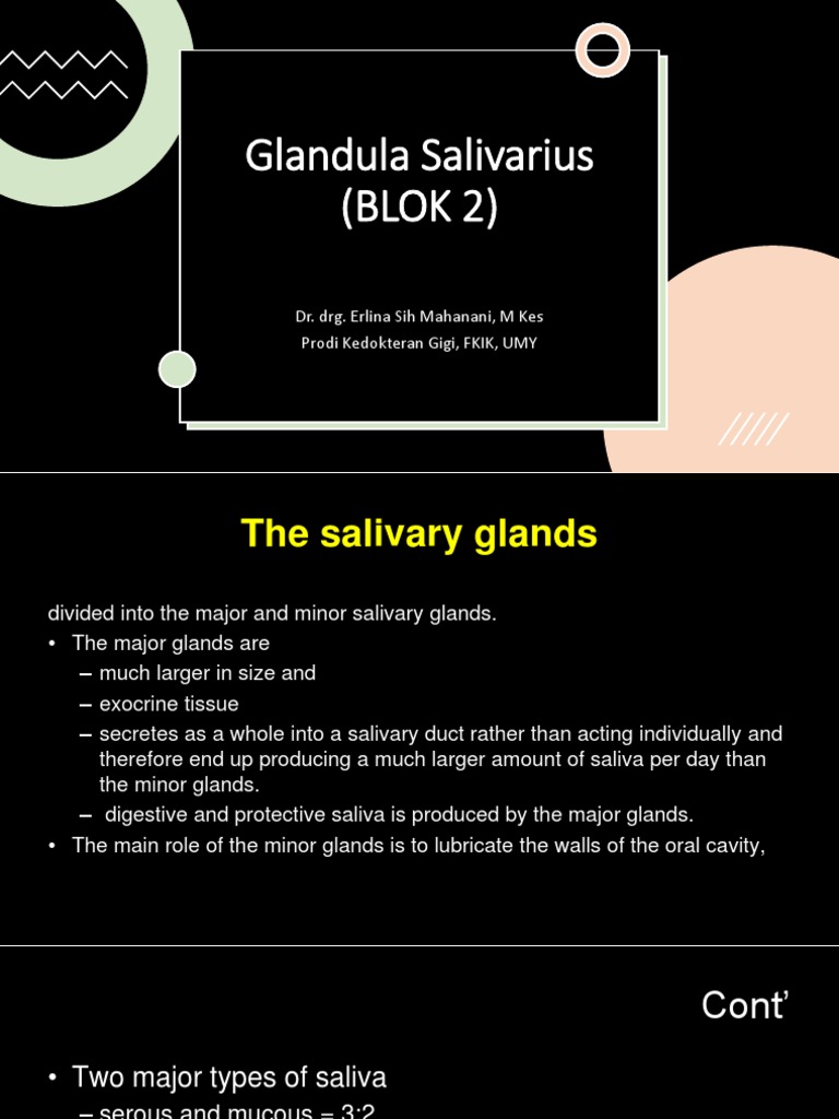 Cavum Oris Dan Galndula Salivarius | PDF | Saliva | Anatomy