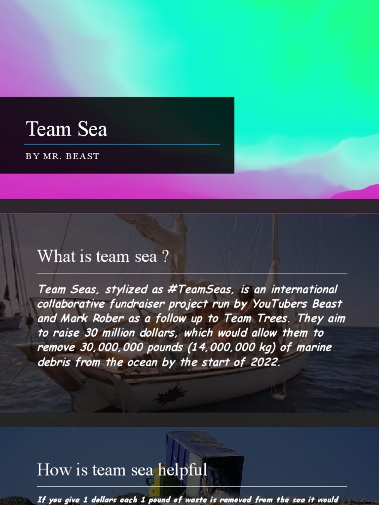 Team Seas | PDF | Home & Garden | Science & Mathematics