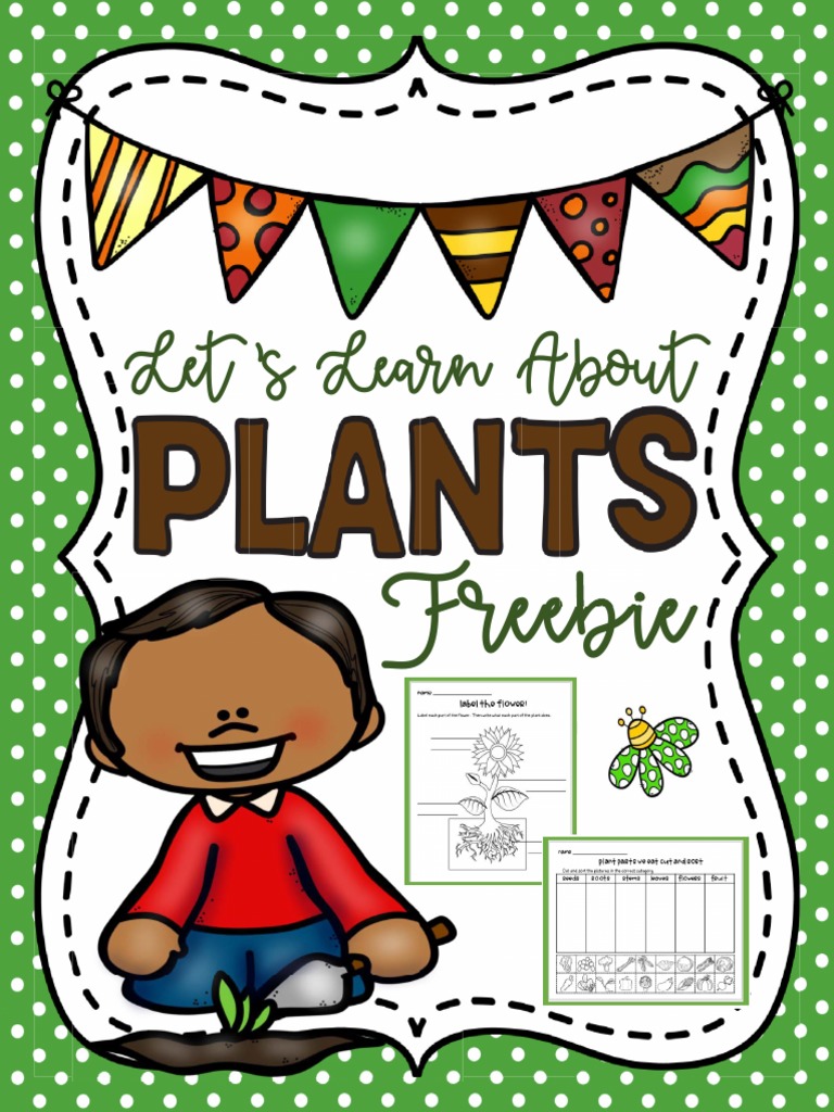 Let's Learn About: Freebie Freebie Freebie | PDF | Biology | Organisms