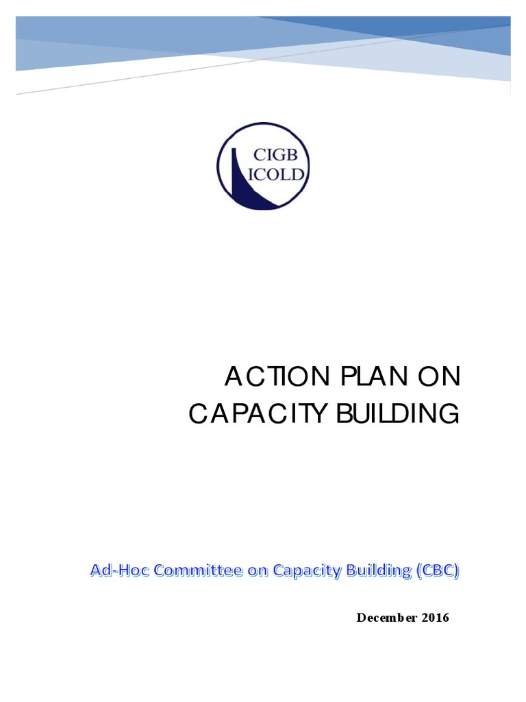 Action Plan On Capacity Building - Icold | PDF | Dam | Capacity Building