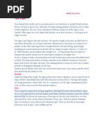 Sean Lock: The Tiger Who Came For A Pint | PDF