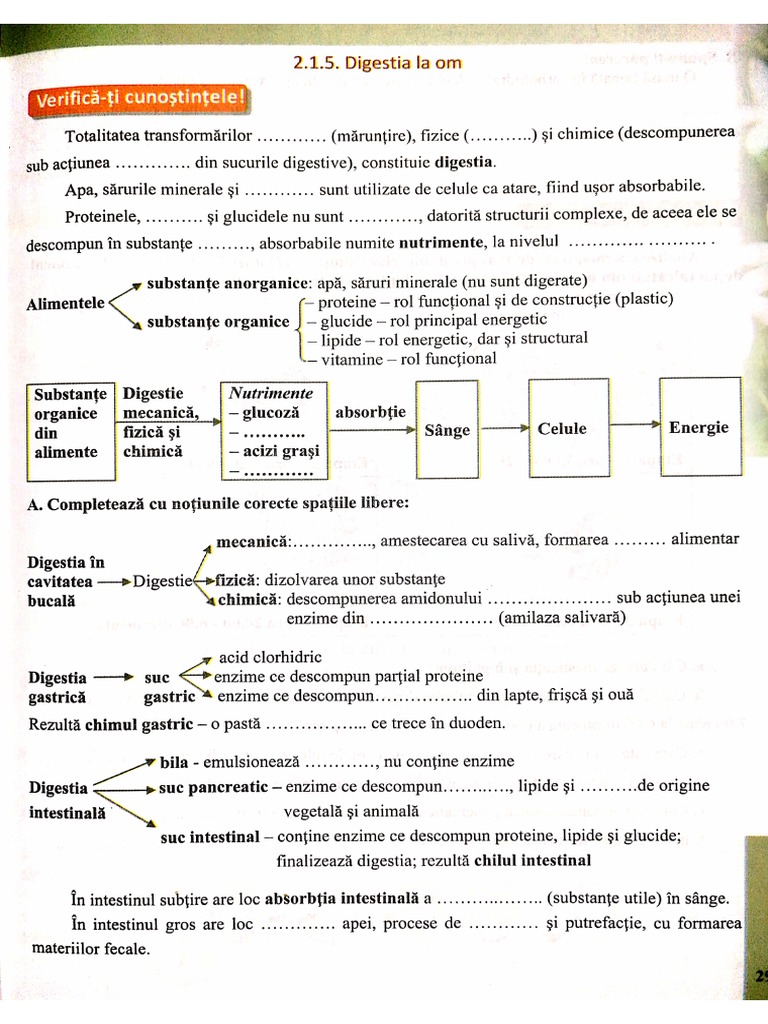 Digestia La Om | PDF