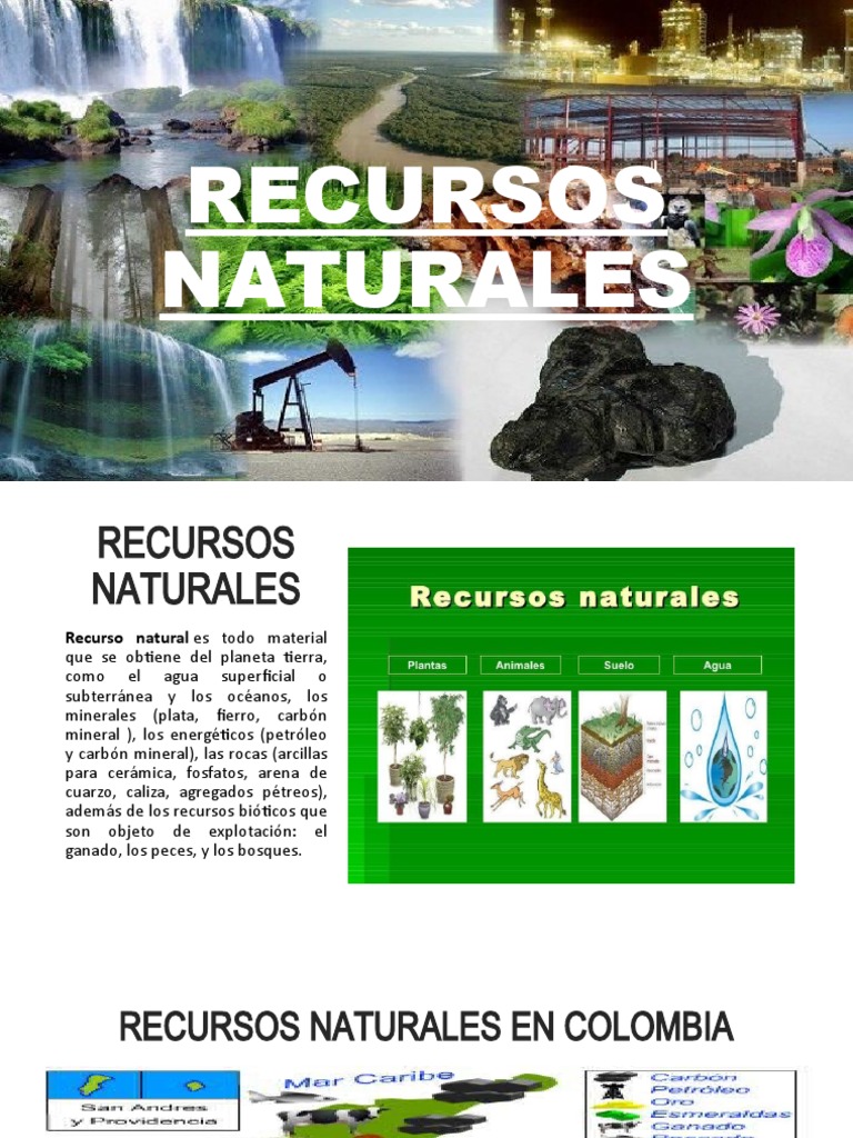 Recursos Naturales | PDF