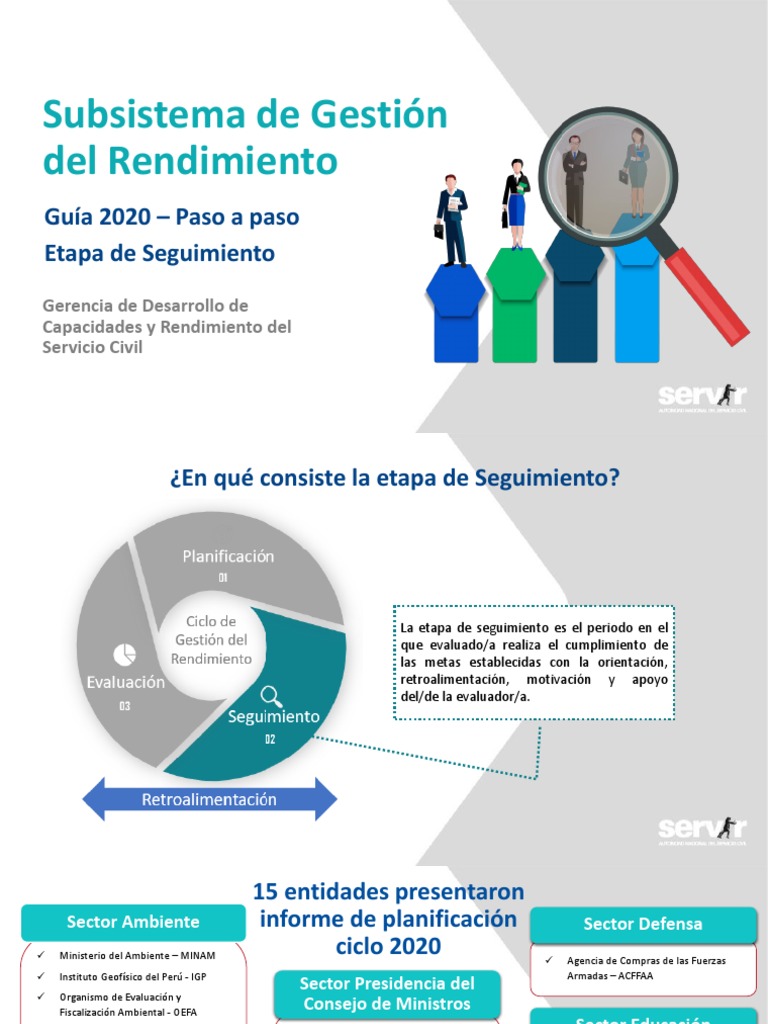 Guía de La Etapa de Seguimiento de Gestión Del Rendimiento | PDF