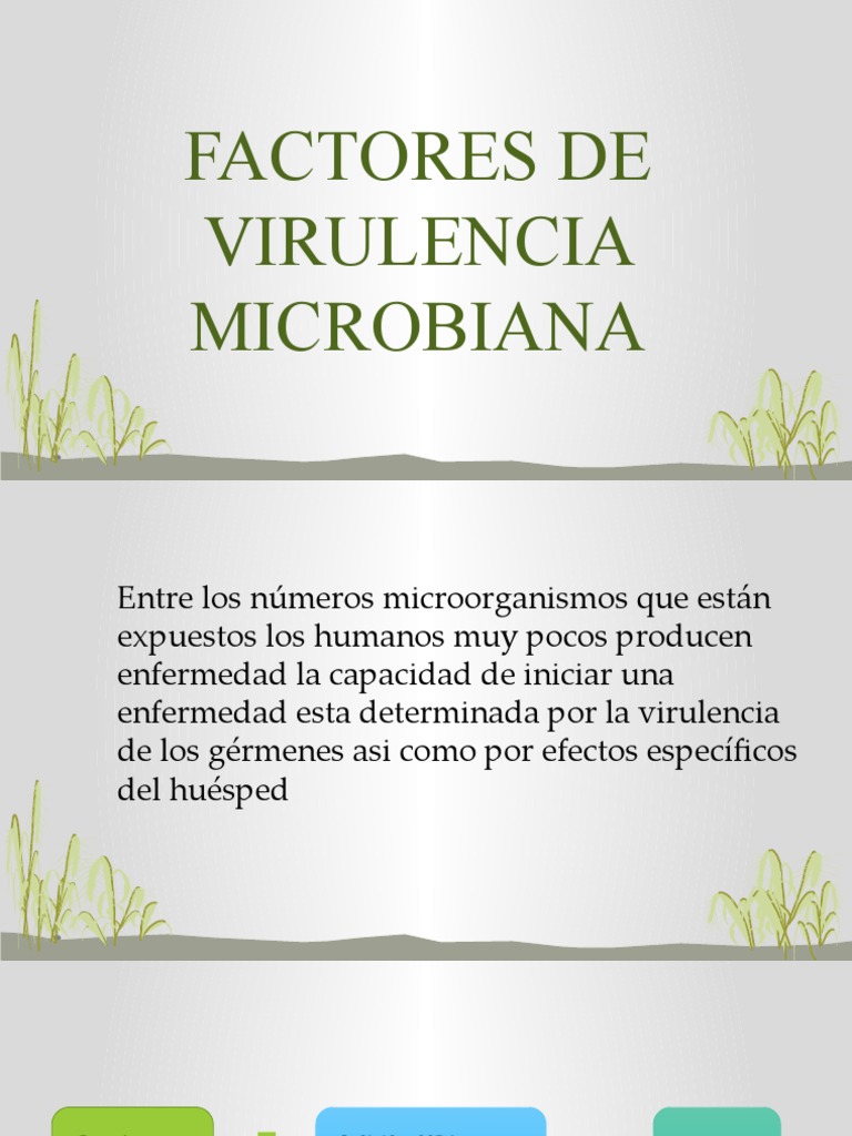 Factores de Virulencia | PDF | Virulencia | Microorganismo