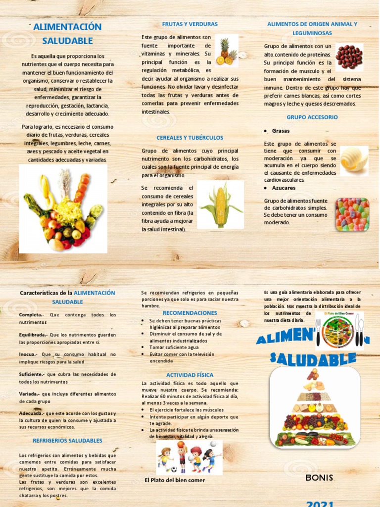 Triptico Alimentacion Saludable | PDF | Alimentos | Nutrientes