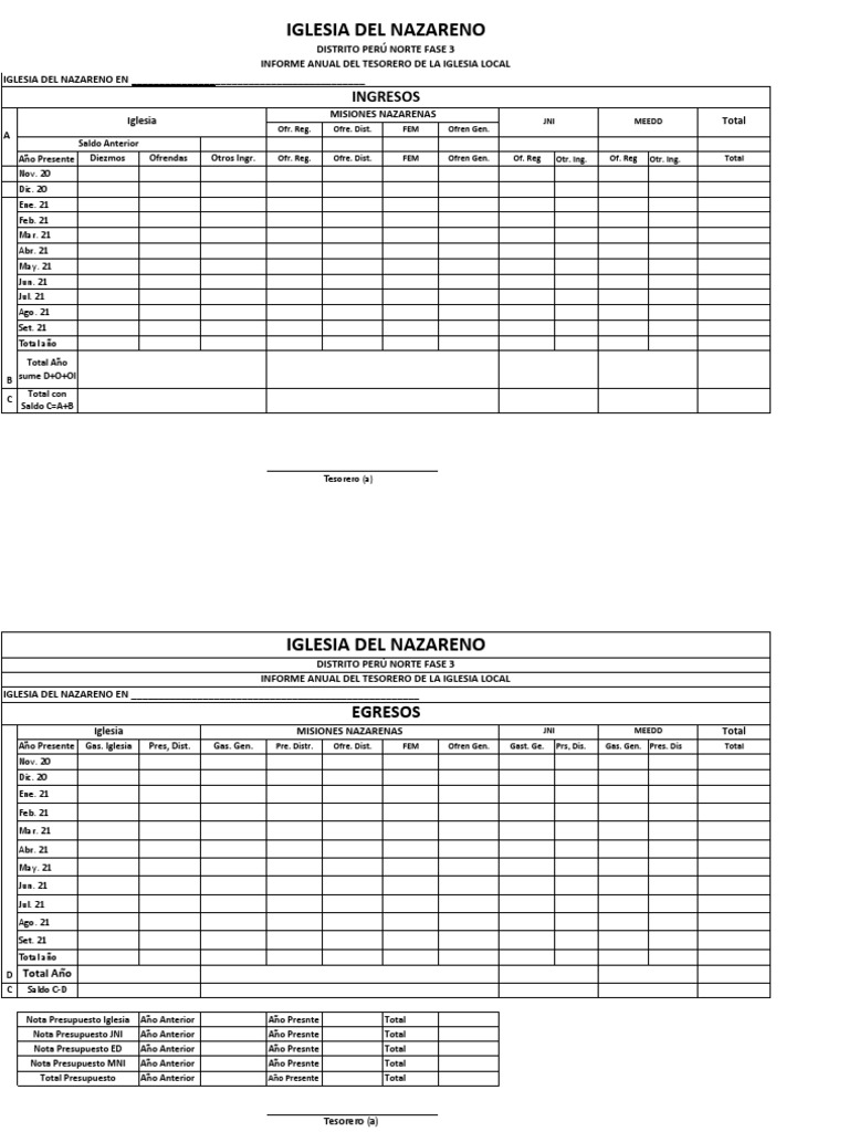 Informe de Tesorería Local | PDF