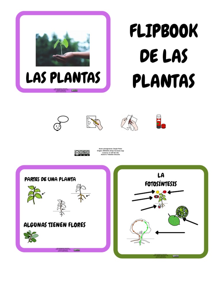 Flipbook Las Plantas Adaptacion 1 ESO | PDF | Plantas | Botánica