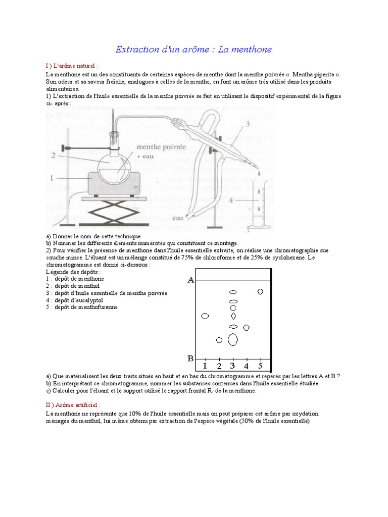 Extraction Arome Menthone | PDF | Saveur | Menthe