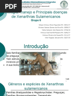 Malameus Aurum Ou Malamé Amarelo Estudo - Cientifico - VisualCientifico | PDF | Mamíferos | Espécies