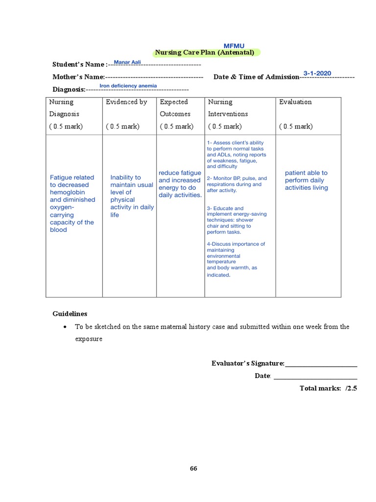 Providing Holistic Care: A Nursing Care Plan Addressing Fatigue and ...