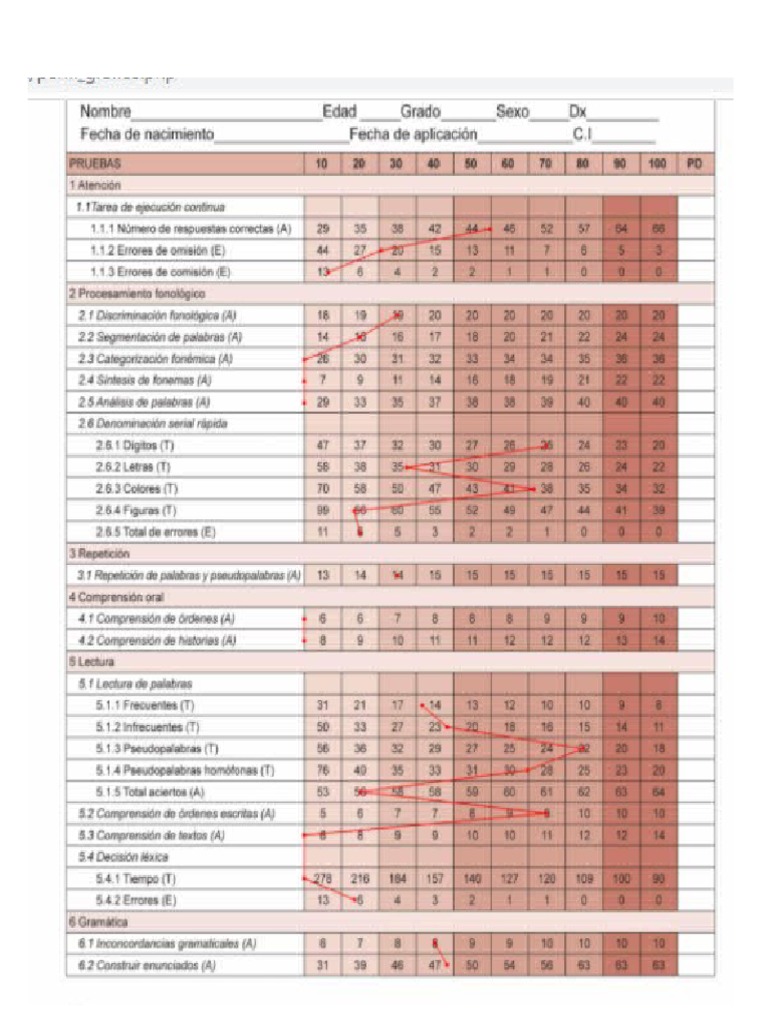 Informe BANETA | PDF | Memoria | Fonología