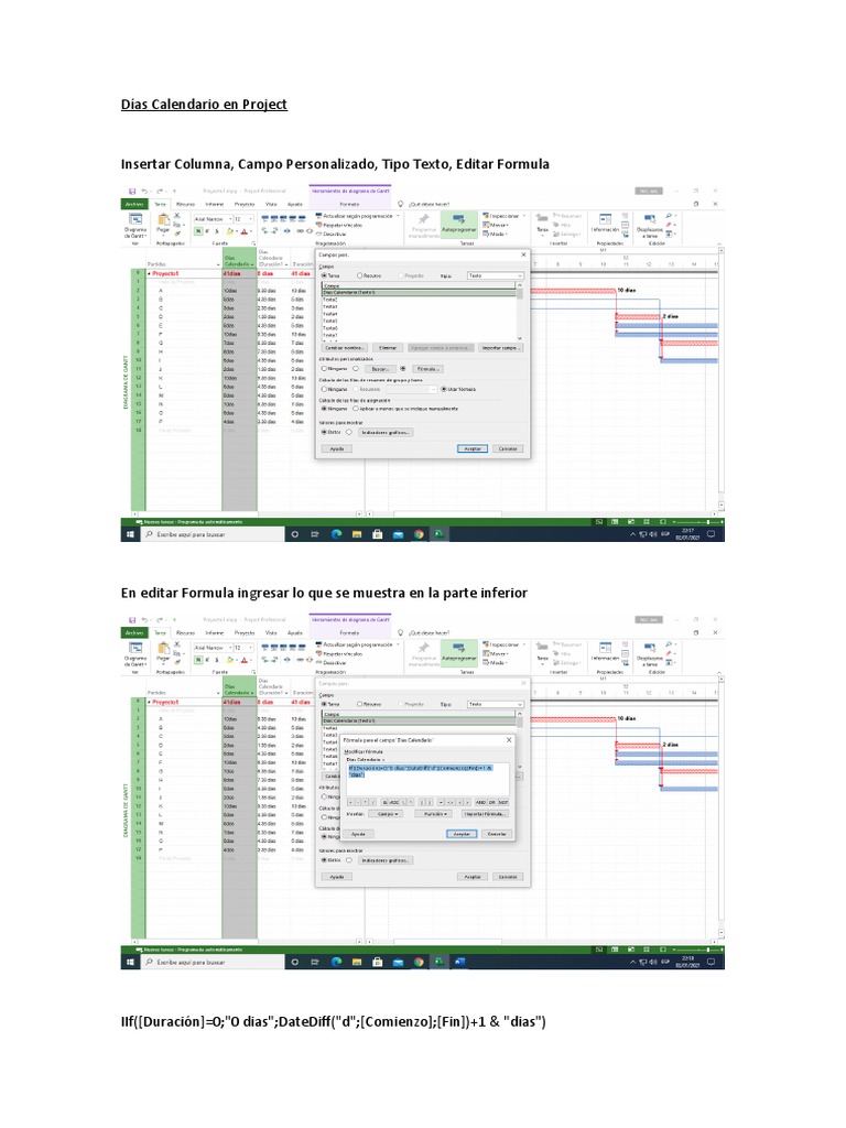 Manual Final Ms Project | PDF