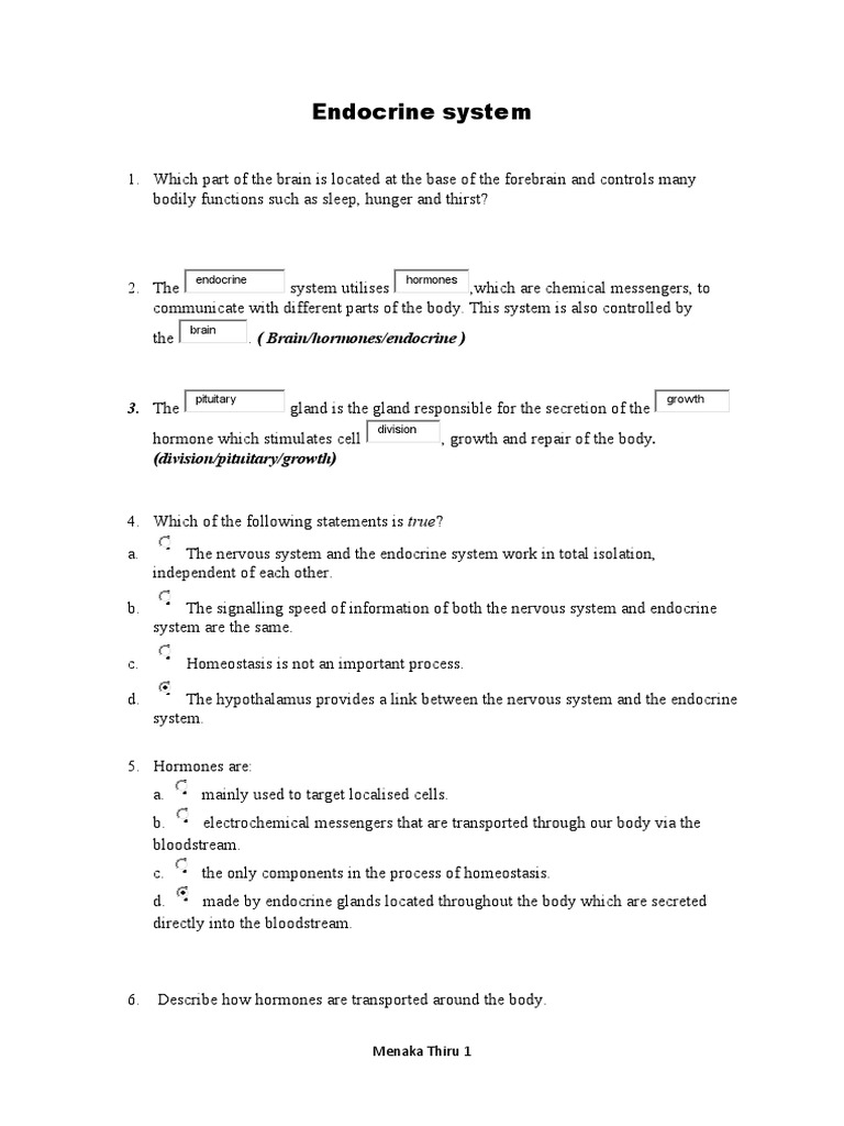 Endocrine System-Worksheet MTI | PDF | Endocrine System | Hormone
