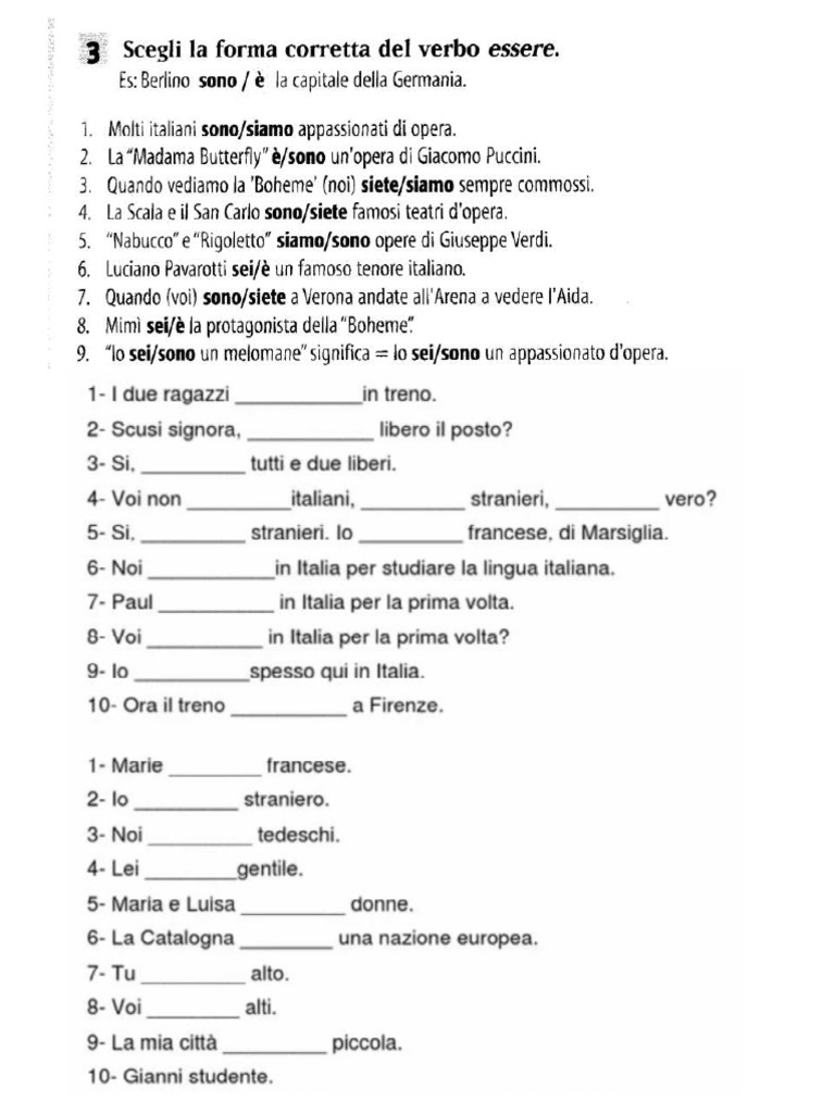 Esercizi Verbi Essere e Avere | PDF