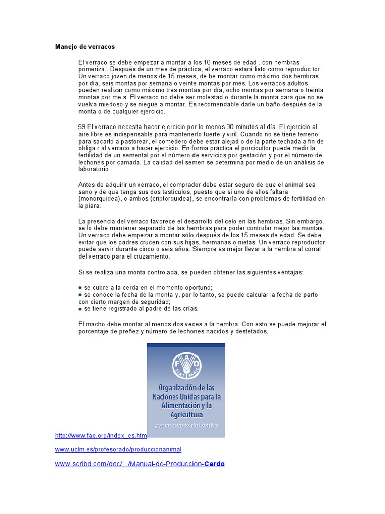 Manejo de Verracos | PDF