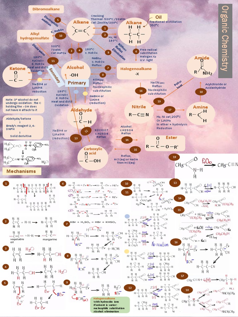 Organic Chemistry Reactions Overview | PDF | Alcohol | Chemistry