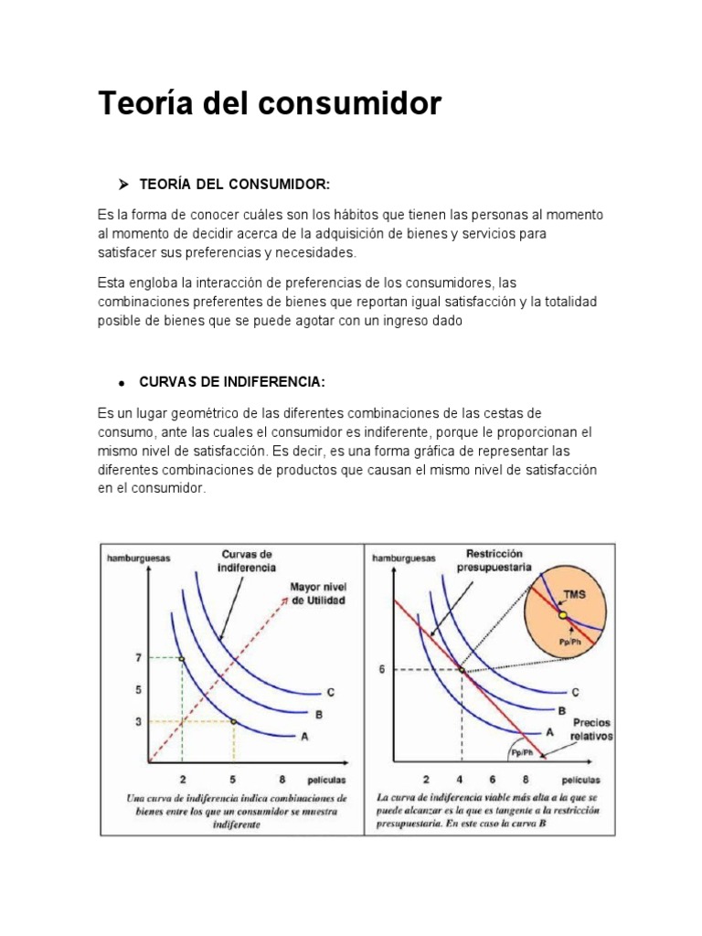Teoría Del Consumidor | PDF | Utilidad | Utilidad marginal
