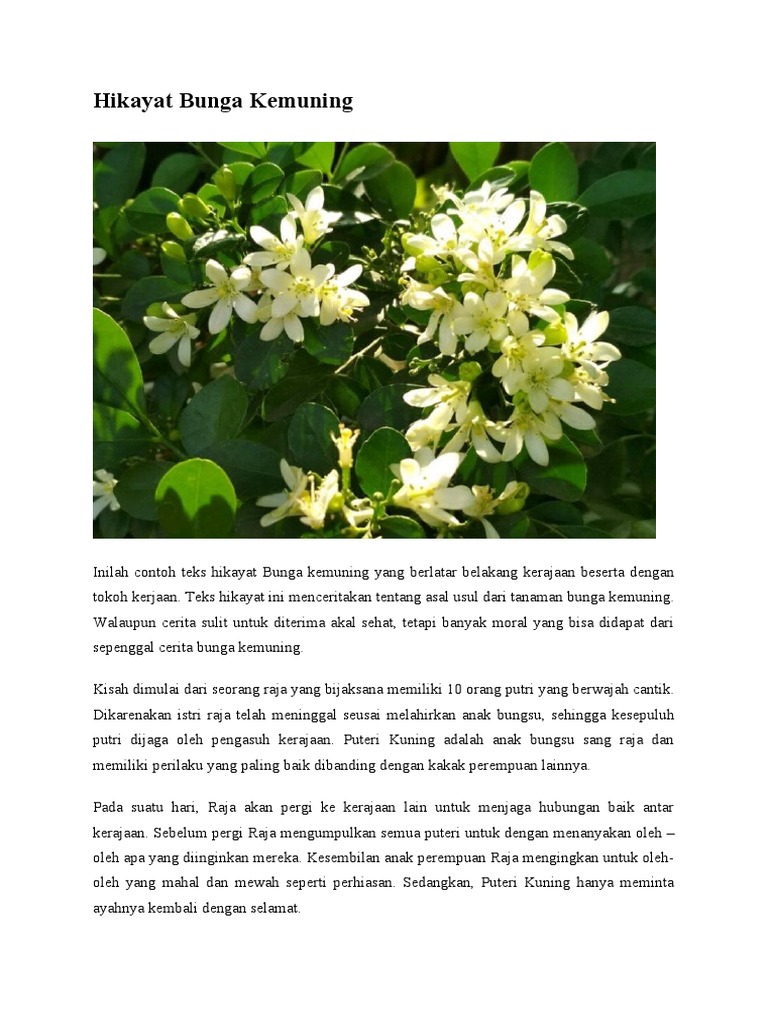 Hikayat Bunga Kemuning | PDF