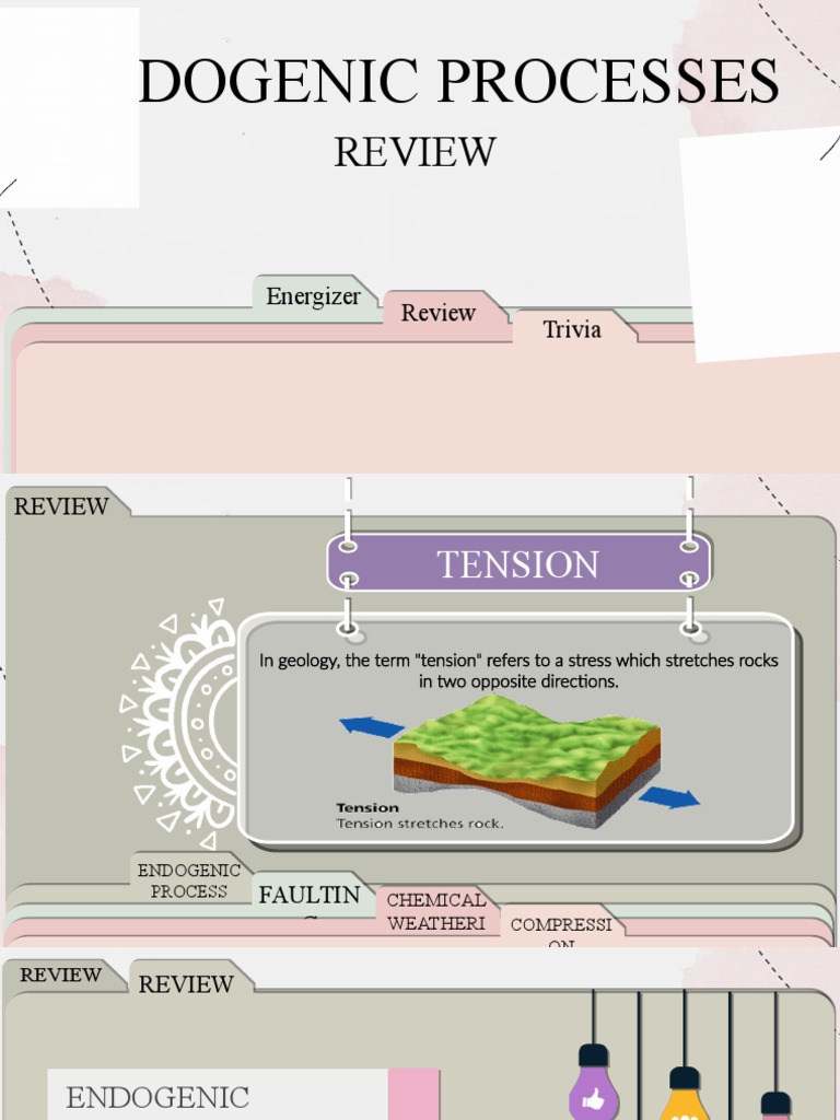 Endogenic Processes | PDF | Weathering | Rock (Geology)