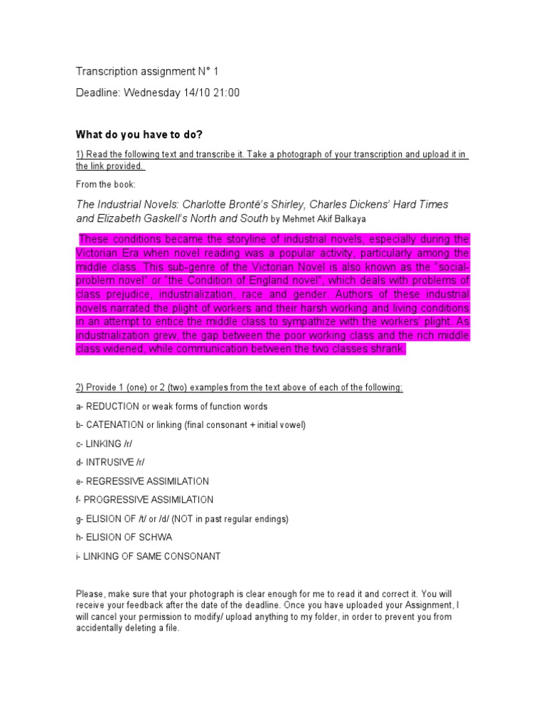 Transcription Assignment Sample Pdf