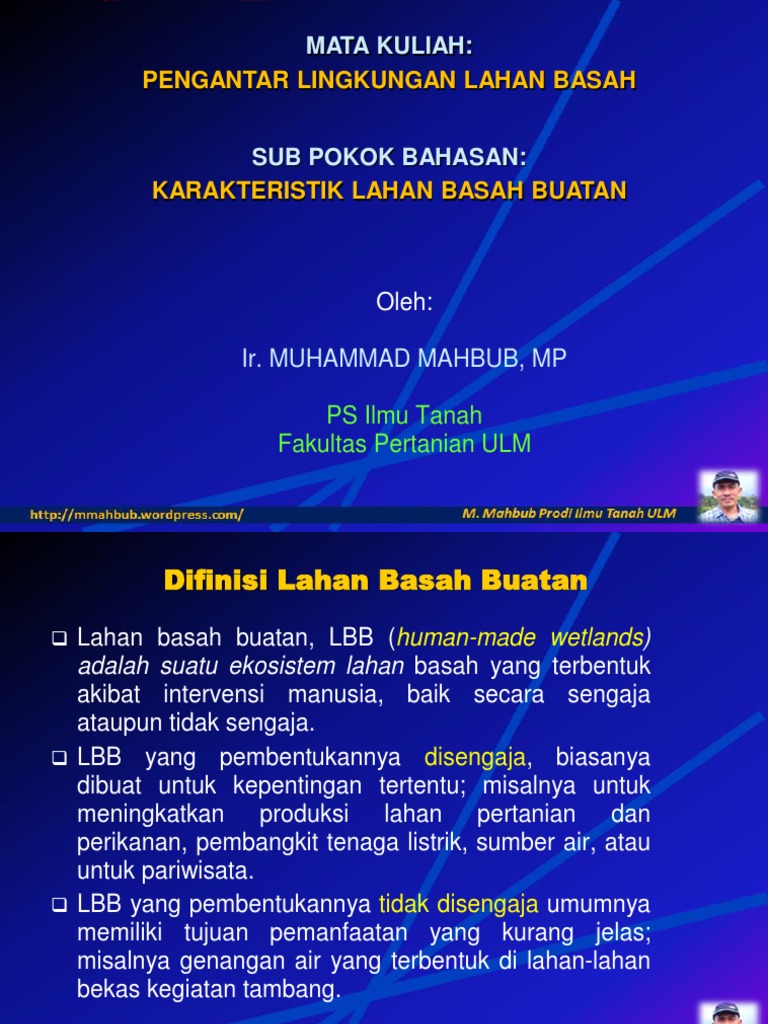 Karakteristik Lahan Basah (Lahan Basah Buatan) | PDF